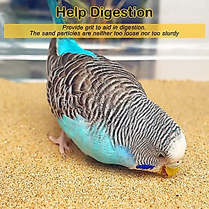 S&X Gravel Paper for Bird Cage 12-Pack 16” x 10” Gravel Liner Paper Sand Sheets Bird Cage Liners