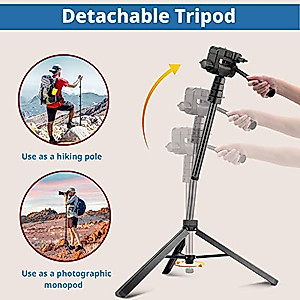 Aureday Selfie Stick Phone Tripod&Monopod, 67'' Detachable Cellphone Tripod Stand with 360° Rotatable Pan Head, Tripod for iPhone&Android Phone, Portable Phone Stand for Recording/Photography/Make-Up