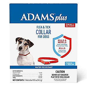 Adams Plus Flea & Tick Collar for Dogs, 7-Month Protection, Adjustable Collar Fits Small Dogs & Puppies, Kills & Repels Fleas, Flea Eggs, Flea Larvae, and Ticks, Kills Tick Larvae and Tick Nymphs