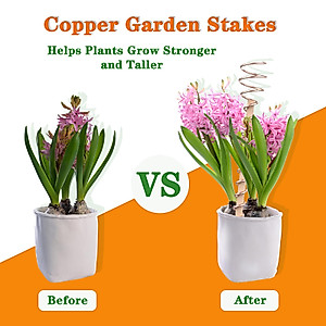 8-Pack Electroculture Copper Gardening Antenna - 99.9% Pure Copper Wire, Copper Garden Stakes for Growing Garden Plants Fruits and Vegetables (12 inch) (12inch, 8)