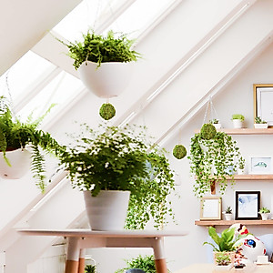 Tongcloud 6pcs Natural Green Moss Decorative Ball,Natural Green Moss Balls Handmade Decorative Moss Hanging Balls for Garden Patio Home Table Decor Party Weddings Display Props Decor (Green, 6)