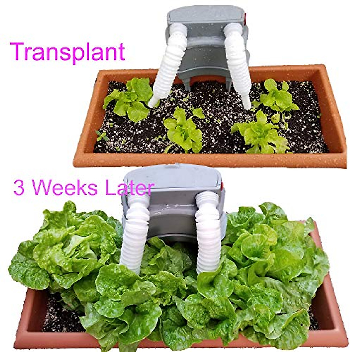 Plant Hydrator [All New Automatic Daily Drip Waterer to Beat This Summer's Heat Container Garden Organic Vegetables Confidently [Fits Grow Bags Self Watering Planters]