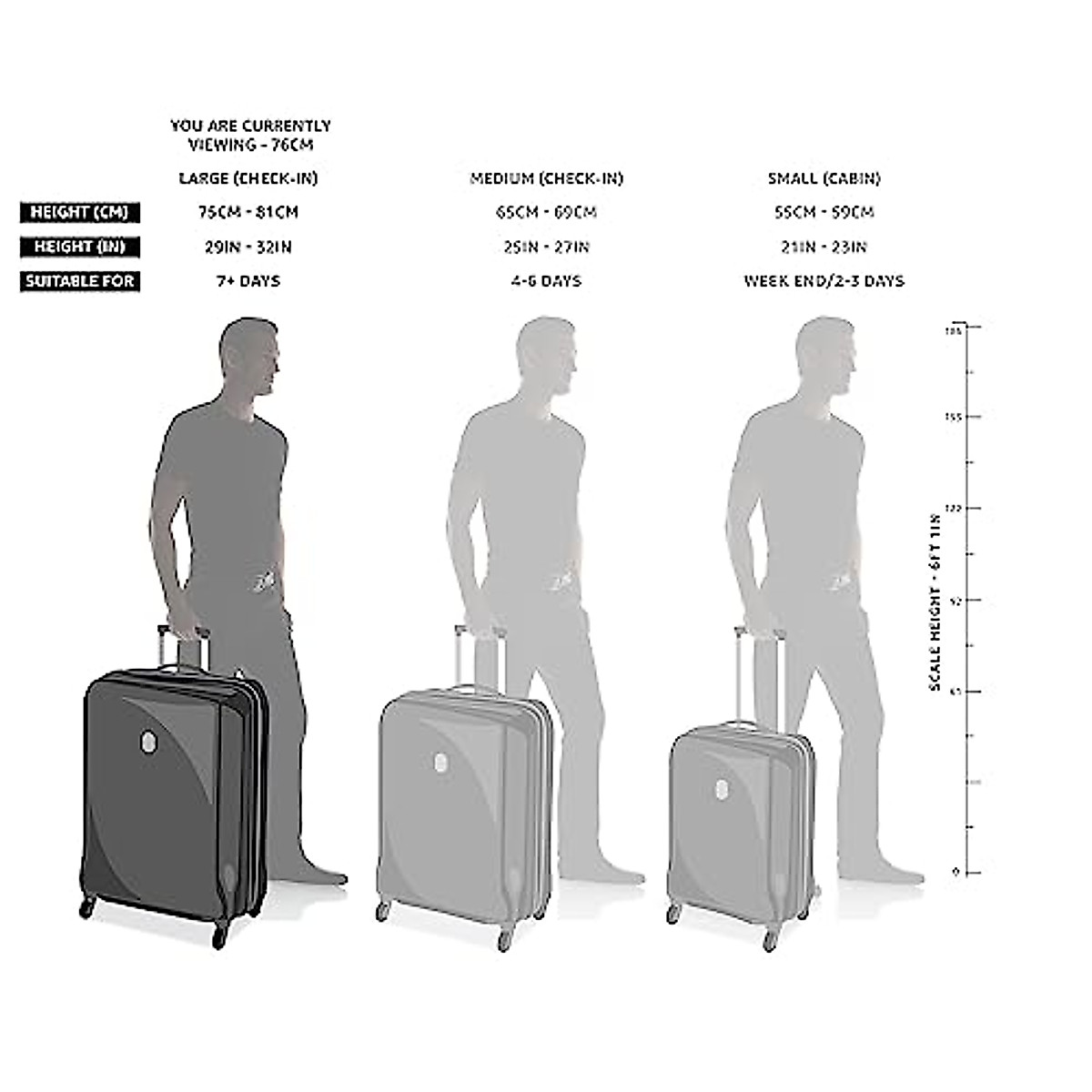 DELSEY Paris Adults-Unisex's, Blue, L (76 cm-102 L + 10 L)