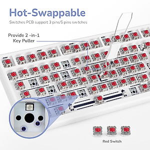 RK ROYAL KLUDGE M75 Mechanical Keyboard with OLED Smart Display and Volume Knob, 2.4G/USB-C/BT Gasket Mounted 75% Layout Wireless Gaming Keyboard with 81 Keys, RGB Backlit Hot-Swappable Red Switch