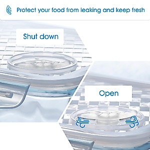 NUTRIUPS 33 Oz Glass Food Storage Containers with Lids, 5.2 Inch Meal Prep Glass Containers with Airtight Lids, Square Glass Bowls with Lids, Microwave, Oven, Freezer and Dishwasher Safe