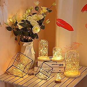 Koxly 6 Pack 20ft 60 Led Fairy Lights with Remote Timer Waterproof Christmas Decor Battery Operated Twinkle Firefly Lights for Bedroom, Garden, Easter, Party, Christmas Indoor and Outdoor Decorations