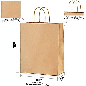 [250 Pack] Heavy Duty 10x13 Kraft Paper Bags 250 pc 10x5x13 Kraft Paper Bags Brown Paper Bags Brown Gift Bags Kraft Shopping Bags Kraft Retail Bags Paper Gift Recycled Paper Bags Kraft Paper Bags with Handles Bulk