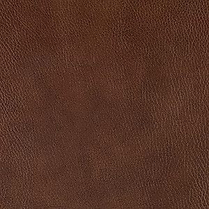 Lexicon Guthrie Leather Match Living Room Loveseat, Camel Brown