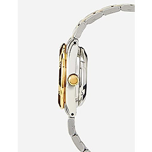 Seiko Women's Automatic Watch Stainless Steel with Stainless Steel Strap, Multicolour, Small, Strap