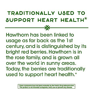 Nature's Way Premium Herbal Hawthorn Berries 1,530 mg per Serving, 180 Vegetarian Capsules (2 Pack)