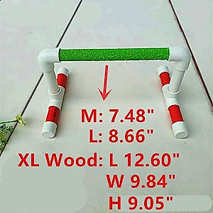 Hypeety Small Bird Parrot Stand Perch Table Top Stand Playground Grind Perch Swing Training Playstand Exercise Chew Toys for Budgies Parakeet Cockatiel Conure Finch (Perch, M)