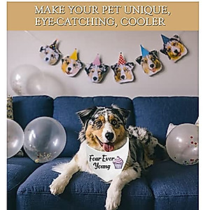 JXGZSO 1 Piece Four Ever Young Fourth Birthday Cupcake Dog Bandana Birthday G Birthday Boy Dog Bandana (Four Ever Young D)