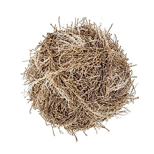 Red Heart Almond Scrubby Yarn, 1, 234 Foot