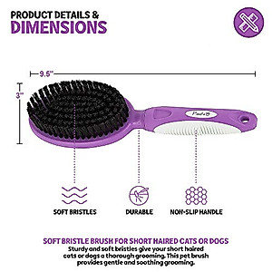 Soft Bristle Dog Brush For Short Haired Cats Or Dogs - Firm Bristles To Remove Dust, Dirt, And Loose Fur - Hook And Rubber Handle