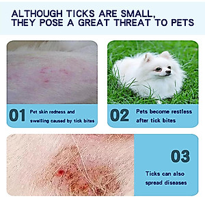 Generic Tick Removal Tool,Tick Remover for Dogs,Pet First aid kit Ttwister Tweezers,Tick Key,Dog Hiking Camping Gear,Cat flea and tick Treatment (1 Set), Metal ash