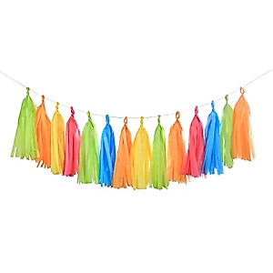 25 PCS Fiesta Paper Tassel Garland Paper Banner DIY Hanging Paper Decoration Party Garland Streamers for Wedding, Birthday Celebration Party Decor and Outdoor Decor