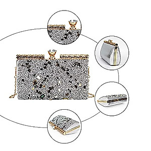 Felice Ann Glitter Rhinestone Sequins Evening Clutch Handbag Chain Strap Crossbody Shoulder Bag, Silver