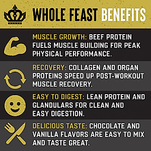 The Fittest Whole Feast Beef Protein Powder - Butter Vanilla - Nose to Tail Carnivore Blend Including Liver, Colostrum and Whole Bone - BCAAs - 14g Collagen - 21g Total Protein
