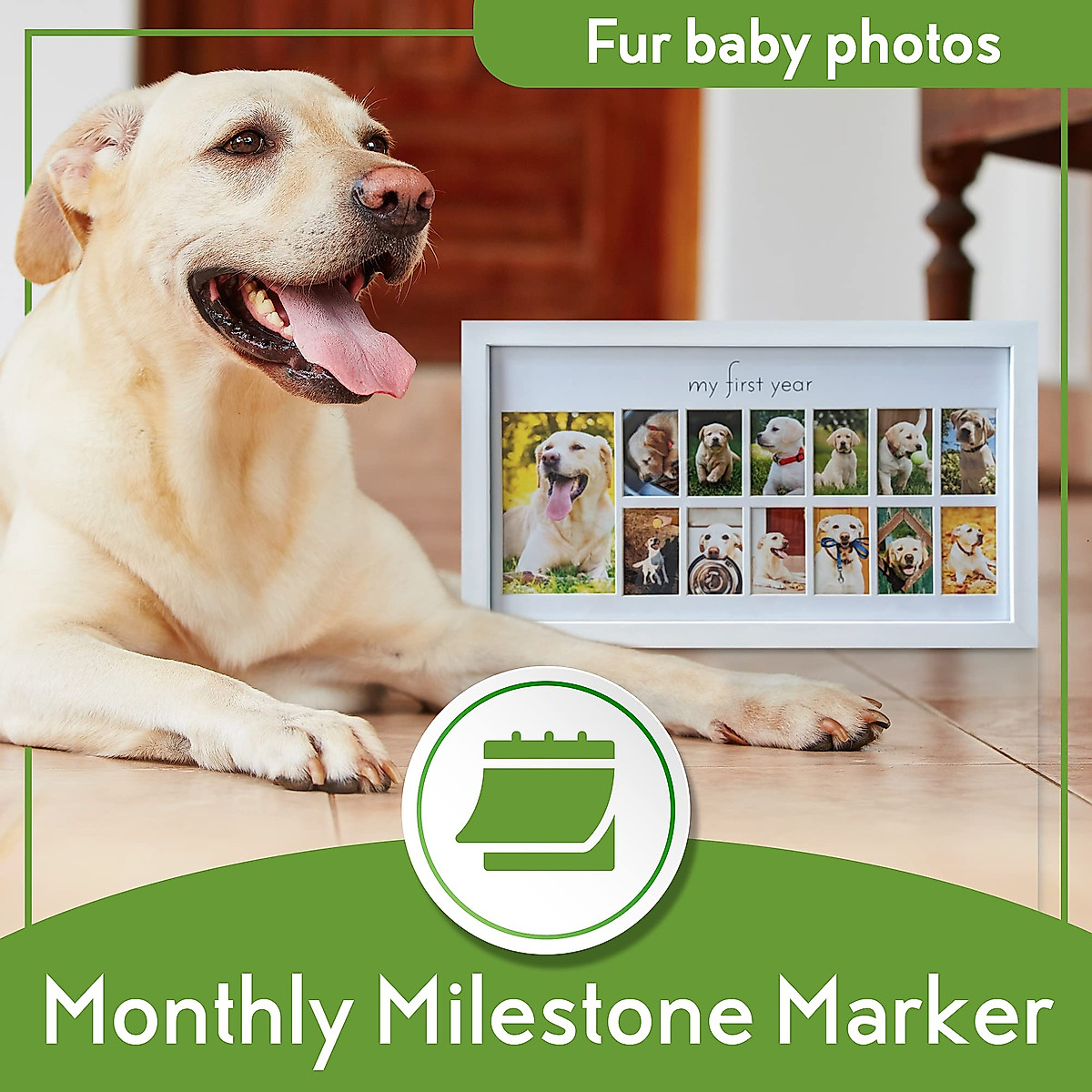 Green Pollywog | My First Year Picture Frame for Dogs | 12 Month Photo Frame | White Wood Frame | Fur Baby Frame | Fur Baby Milestone Picture Display | Dog Keepsake Frame | Dog Birthday Gift