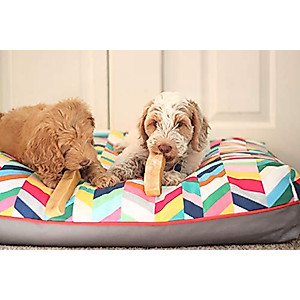 Himal Dog Treat Chew, 100% Natural Long Lasting Yak Chews. Medium