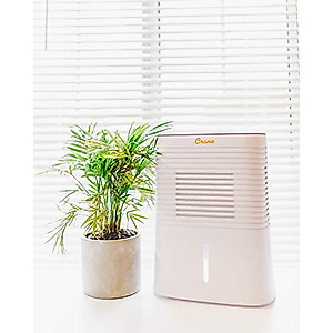 Crane Dehumidifier, Compact Portable Design, Effective Moisture Removal up to 300 Sq. Feet, 0.5 Gallon – 2 Liter Water Tank, White