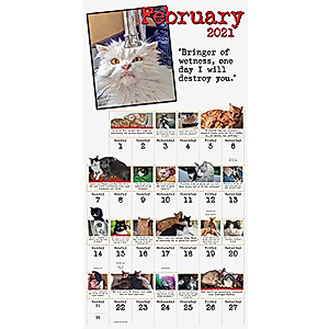 Bad Cat Wall Calendar 2021