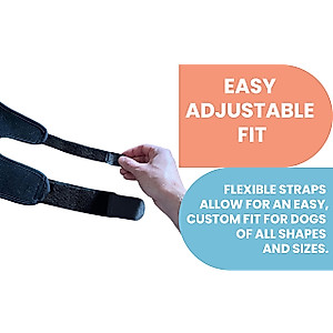 Labra Dog Canine Knee Stifle Brace Wrap, Metal Splint Hinged Flexible Support Brace for K9 ACL, CCL, Luxating Patella, Cruciate Ligament Sprains in Back, Rear, Hind Leg (Extra Large - 75-100lbs)