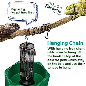 NEPTONION Chameleon Feeding Kit, Come with a Hookable Feeding Bowl and a Reptile Water Feeder, Perfect for Leaving Your pet Whilst on Vacation