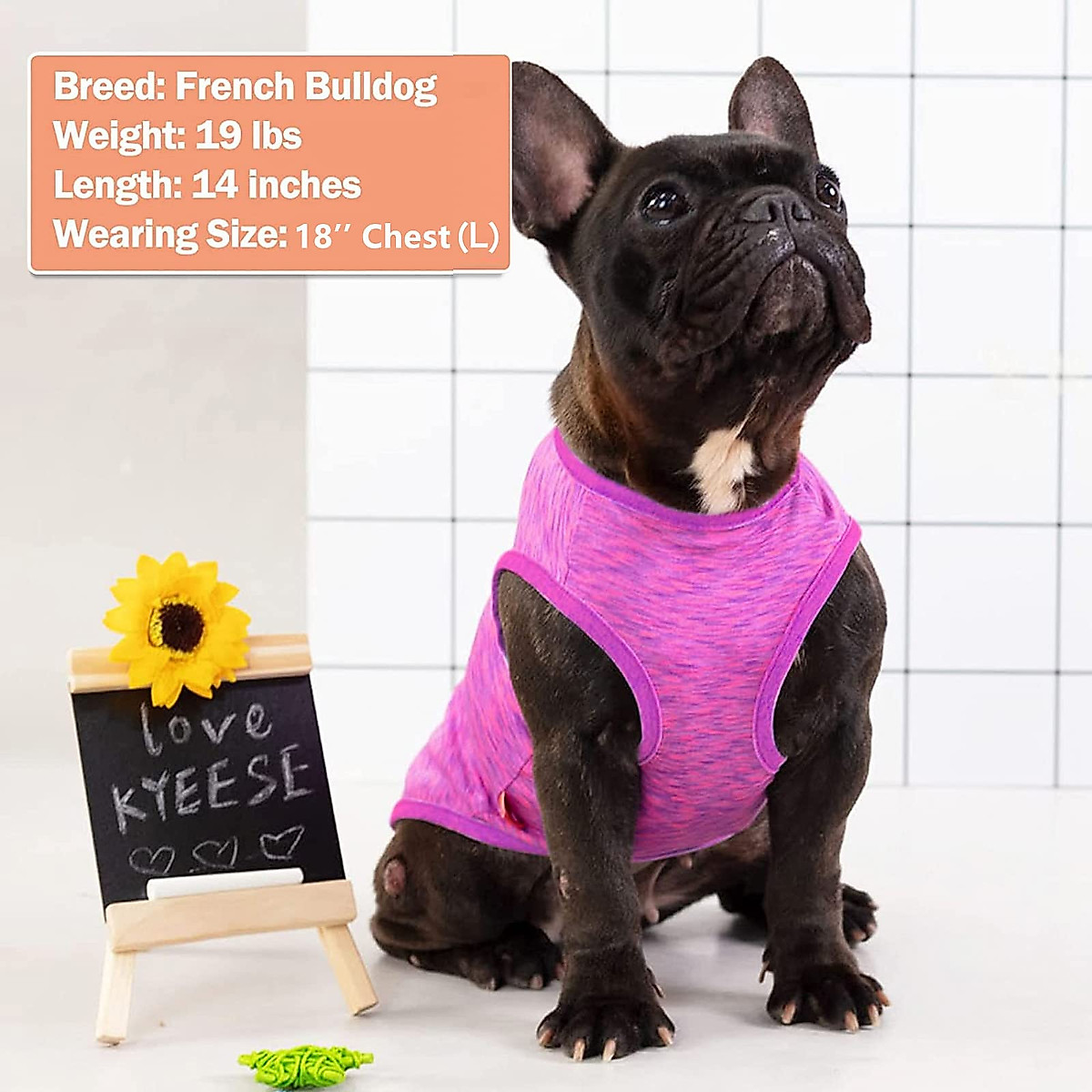 KYEESE 2 Pack Dog Shirts Quick Dry Soft Stretchy Sun Protection Dog T-Shirts with Reflective Label Tank Top Sleeveless Vest Dog Clothes for Small Medium Dogs, Large, Purple+Pink