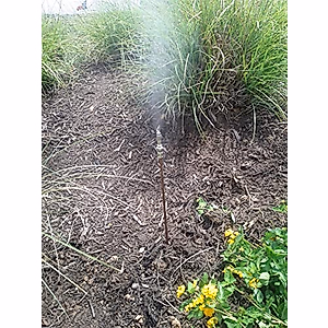 10 Pack Slimline Mosquito Misting Nozzles .30mm Made in USA