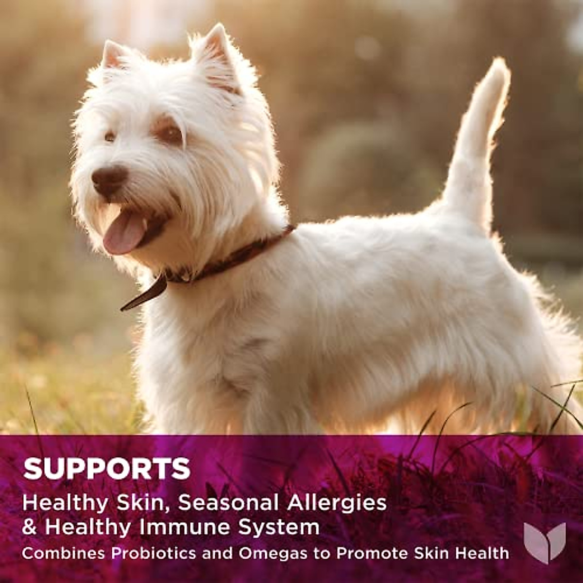 Hyland's Naturals - Pro Skin Health for Dogs, 90 Soft Chews, Supports Healthy Skin, Seasonal Allergies & Immune System, with Probiotics & Omega-3s, Trout Flavor