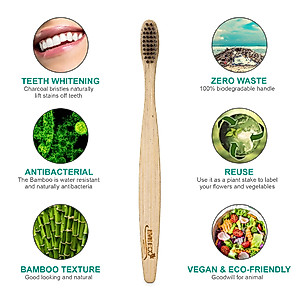 EveEco 12 Count I Bamboo Toothbrush I Soft Bristles Best for Sensitive Gums I Charcoal I Vegan I Natural Wood I BPA Fee I Recyclable I Compostable I Biodegradable | Environmentally Friendly