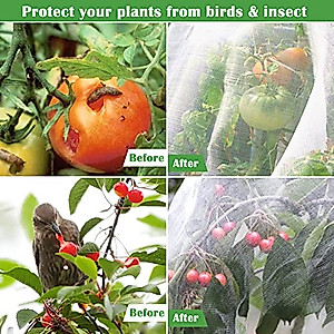 Unves 67 Pcs Garden Netting Kit, 10x20Ft Ultra Garden Mesh Mosquito Netting with 6 Garden Hoops& 12 Clips, Bird Fruit Tree Netting for Raised Beds Vegetable Flowers Protection Barrier Plant Covers Net