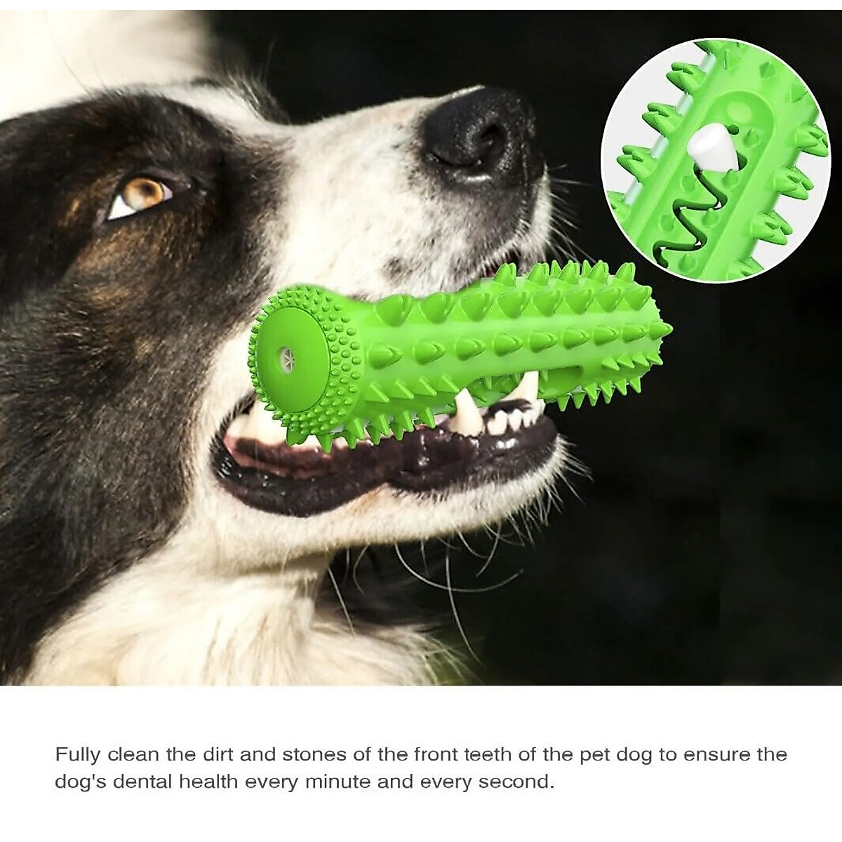 Nico's Friends Interactive Dental Toy for Dogs – Squeaky Puzzle to Clean Teeth and Promote Oral Health – Perfect for Small, Medium, and Large Breeds.