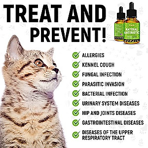 GoldenPaw Herbal Pet Supplement for Cat