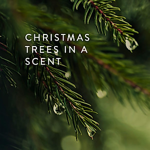 Thymes Frasier Fir All-Purpose Cleaner - Biodegradable Cleaner with Natural Essential Oils - Household Spray for Cleaning Bathrooms, Kitchens, Counters, and Other Surfaces (16 fl oz)