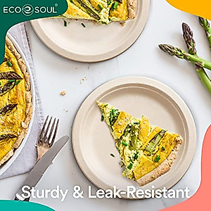 ECO SOUL 100% Compostable 6 Inch Paper Plates [100-Pack] Disposable Party Plates I Heavy Duty Eco-Friendly Sturdy Appetizer Plates Disposable I Biodegradable Unbleached Sugarcane Eco Plates