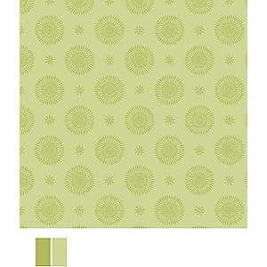 Barn Star Sampler: 20 Starry Blocks and 7 Spectacular Quilts