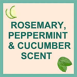 Aveeno, Fresh Greens Blend Sulfate-Free Shampoo with Rosemary, Peppermint & Cucumber to Thicken & Nourish, Clarifying & Volumizing Shampoo for Thin or Fine Hair, Paraben-Free, 12oz