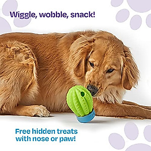 Brightkins Cactus Surprise Treat Dispenser - Treat Dog Toys, Treat Dispenser for Dogs, Dog Birthday Toy for All Breeds Medium