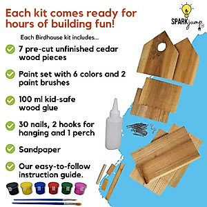 SparkJump Jr Birdhouse Kit | Cedar Wood for Outdoors | with Paint Set | Bird Feeder | DIY Crafts Woodworking Building Gardening Project for Kids, Adults, Family