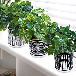 Winlyn 3 Pcs Small Artificial Potted Tropical Plants Faux Monstera Ivy Pothos in Black Geometric Pots for Gifts Hawaiian Tropical Luau Party Table Shelf Office Indoor Outdoor Decor