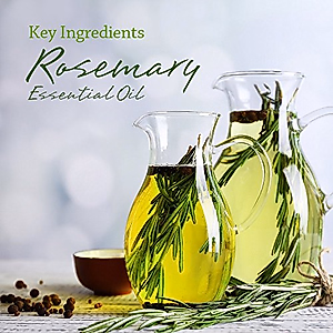 I & Candle Aromatherapy Soy Wax Scented Candles (Rosemary & Mint)