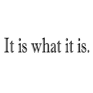 CafePress It Is What It Is Stainless Steel Travel Mug Stainless Steel Travel Mug, Insulated 20 oz. Coffee Tumbler