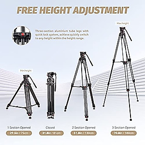 【2023 Upgrade】 RAUBAY 70.8" Professional Heavy Duty Video Camera Tripod with Fluid Head, QR Plate for DSLR Camcorder, Max Loading 17.6lbs, Aluminum Twin Tube Leg with Metal Mid-Level Spreader DV-1 PRO