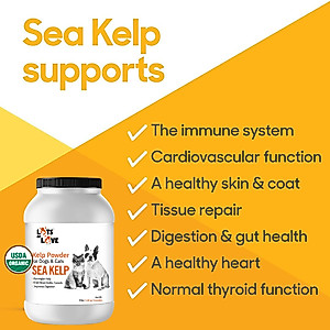 Organic Sea Kelp Powder for Dogs (7 Pounds, 3.2 KG), Iodine for Dog, Thyroid Support for Dog & Cat, Norwegian Kelp Dog Powder Supplement by Lots of Love