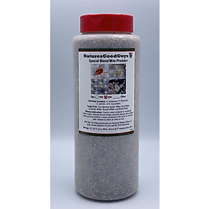 25,000 Predatory Mite Blend