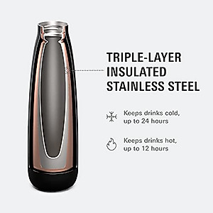 Avana Ashbury Stainless Steel Double-Wall Insulated Water Bottle, 18-Ounce, Neo