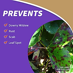 Bonide Captain Jack's Fruit Tree Spray, 32 oz Concentrate, Insect & Disease Control Spray for Organic Gardening