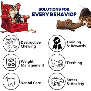 FRLEDM Dog Toys, Squeaky Dog Toys, Durable Dog Toys for Aggressive Chewers, Chew Toys for Aggressive Chewers Large Breed, Tough Rubber Dental Chew Dog Toys for Large Medium Breed (Purple-Large)